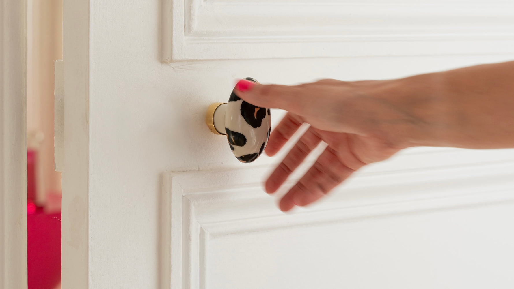 Hello Léo – hello jacques